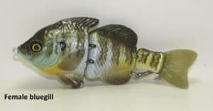 10 Most Expensive Fishing Lures You Can Buy - Rarest.org