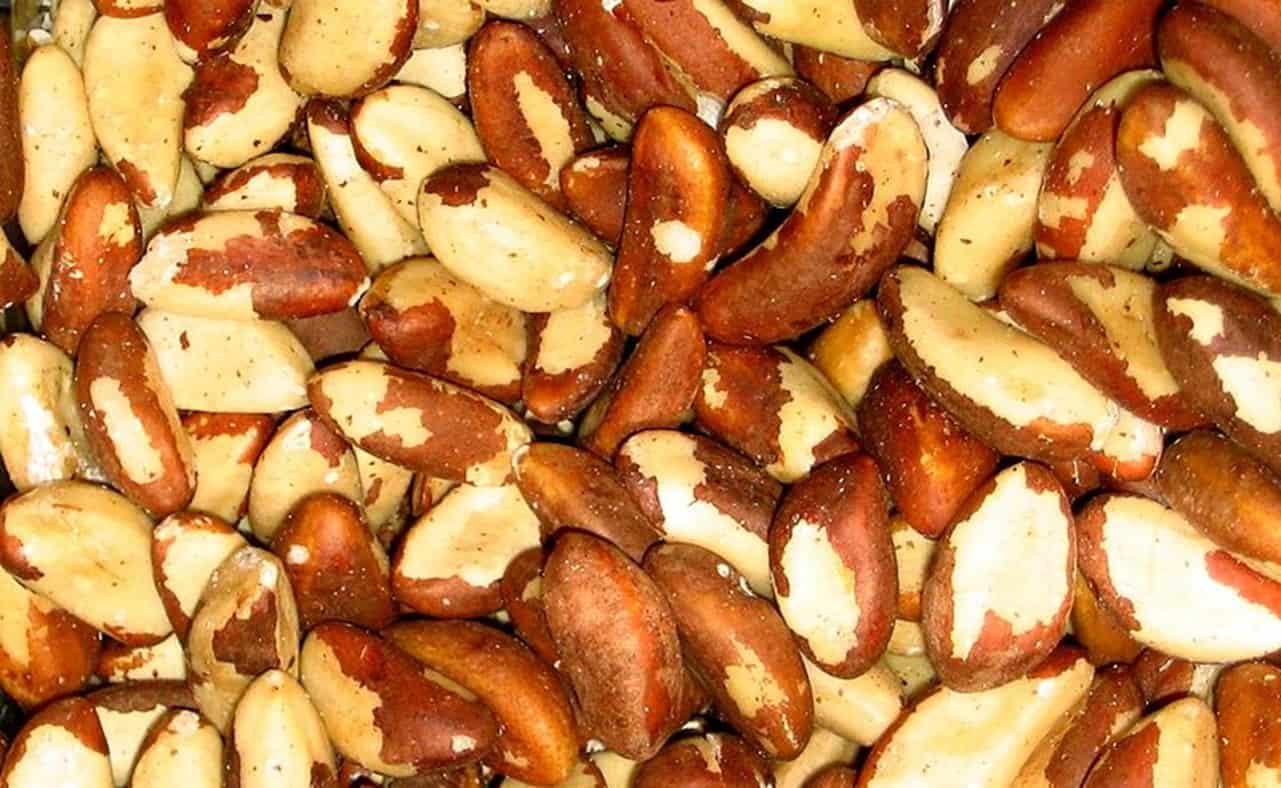 8 Most Expensive Nuts From Around the World - Rarest.org