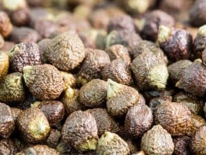 8 Rarest Spices From Around The World - Rarest.org