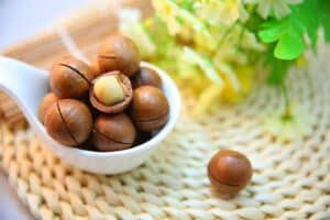 8 Most Expensive Nuts From Around the World - Rarest.org