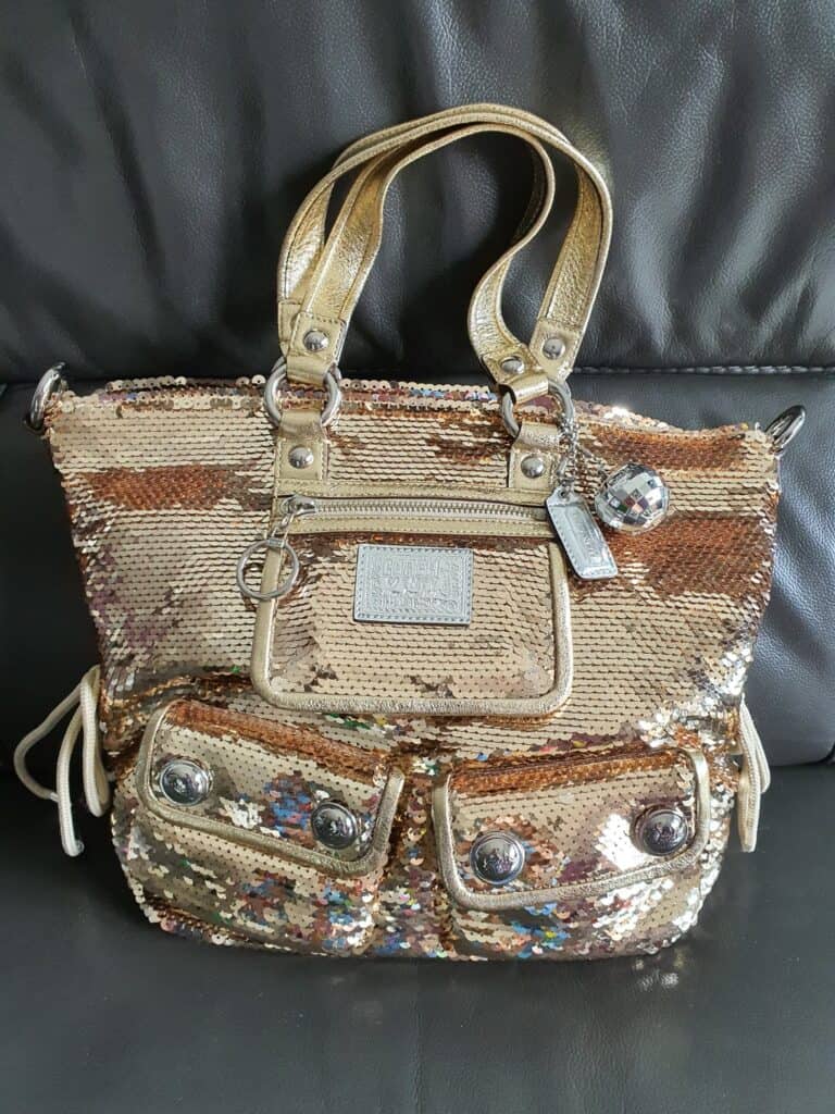 10 Most Expensive Coach Purses Ever Released - Rarest.org