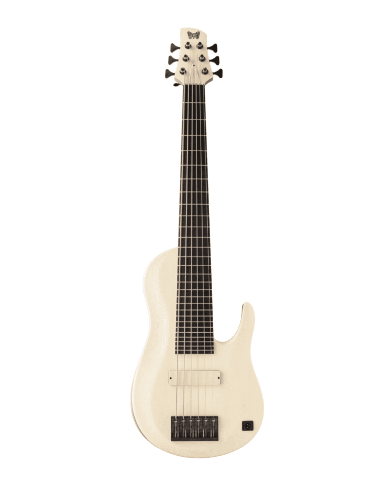 9 Most Expensive Bass Guitars Ever - Rarest.org