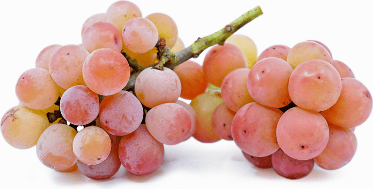 5 Most Expensive Japanese Grapes You Can Buy - Rarest.org